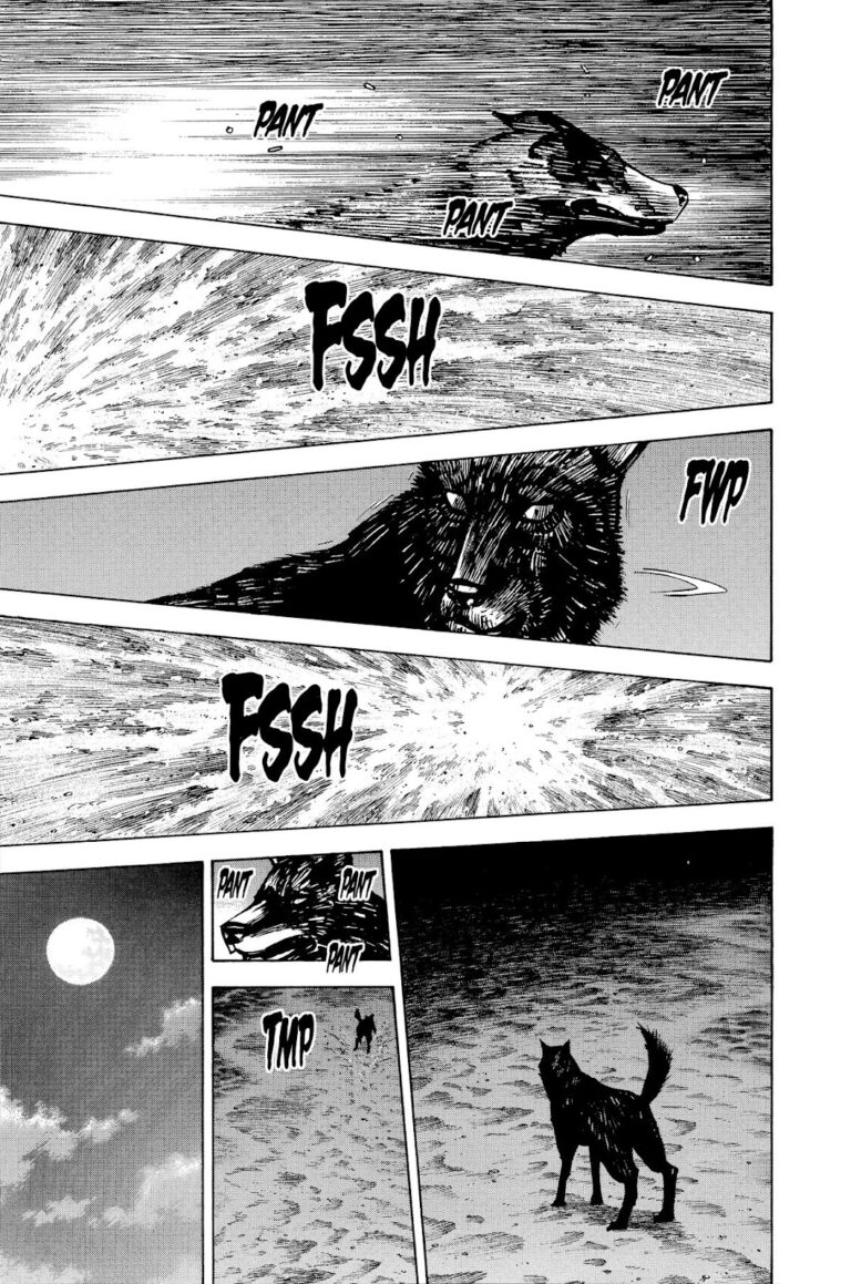 Vagabond Chapter 146
